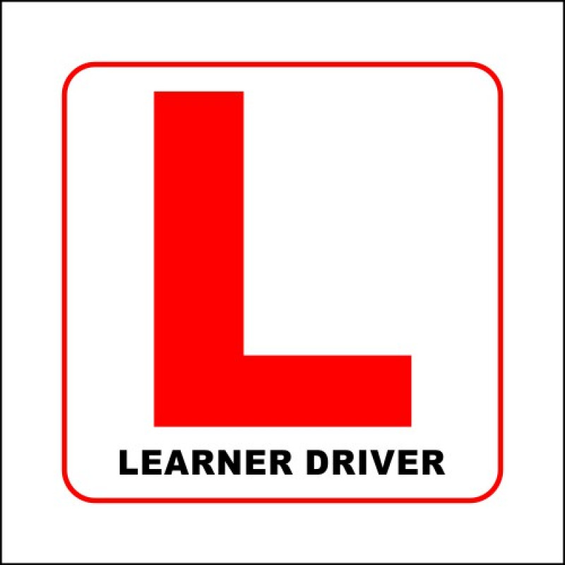 Drivers license – The Viking Heart Within